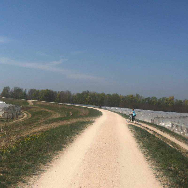 Zevio - San Giovanni lupatoto Sendero - Verona, Italia | Pacer