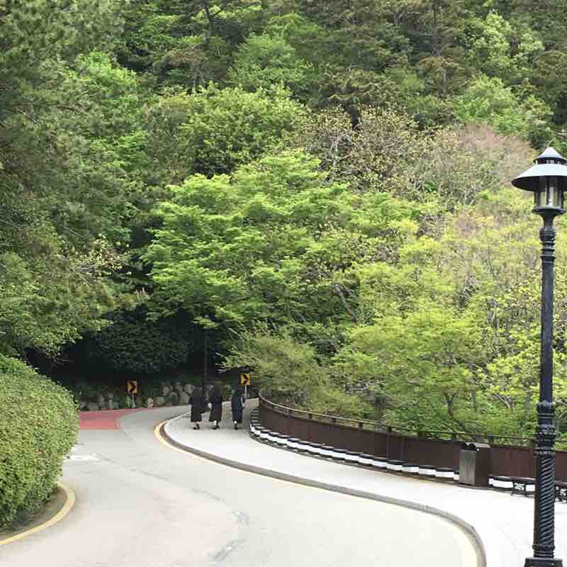 Taejongdae Wanderweg - Yeongdo-gu, Busan, Südkorea | Pacer