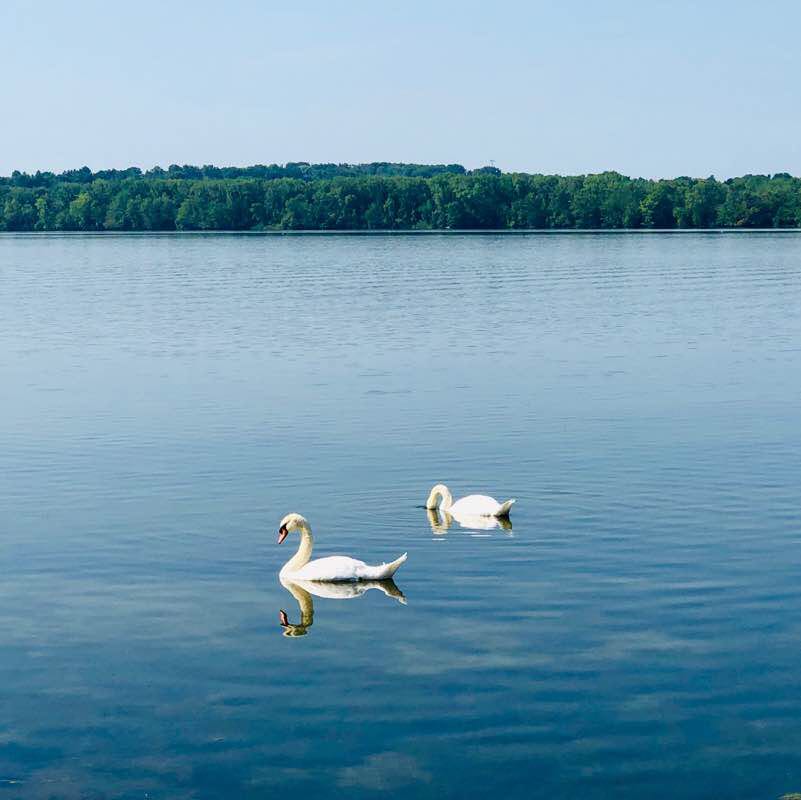 Salt Museum to Dog Park and Back in New York | Walking Map