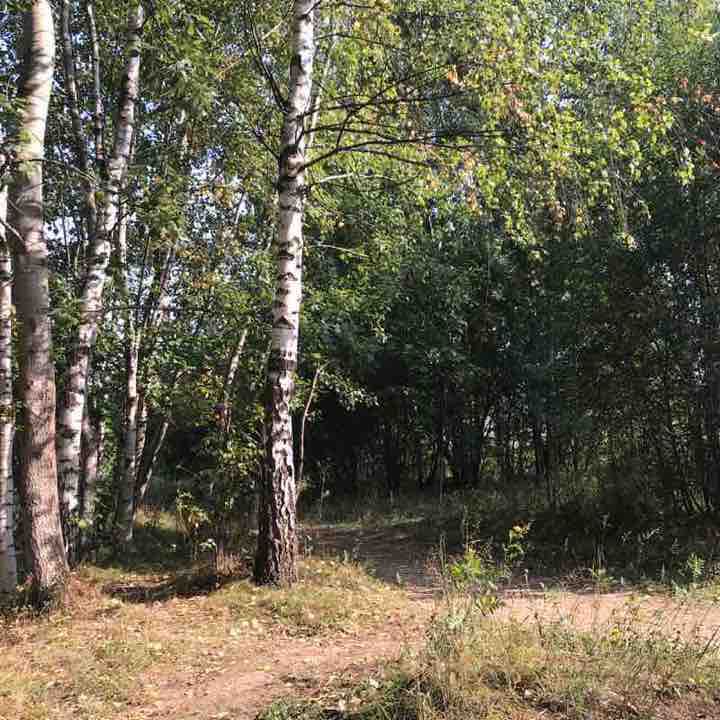 Bitsevsky park Walk - Moscow, Russia | Pacer