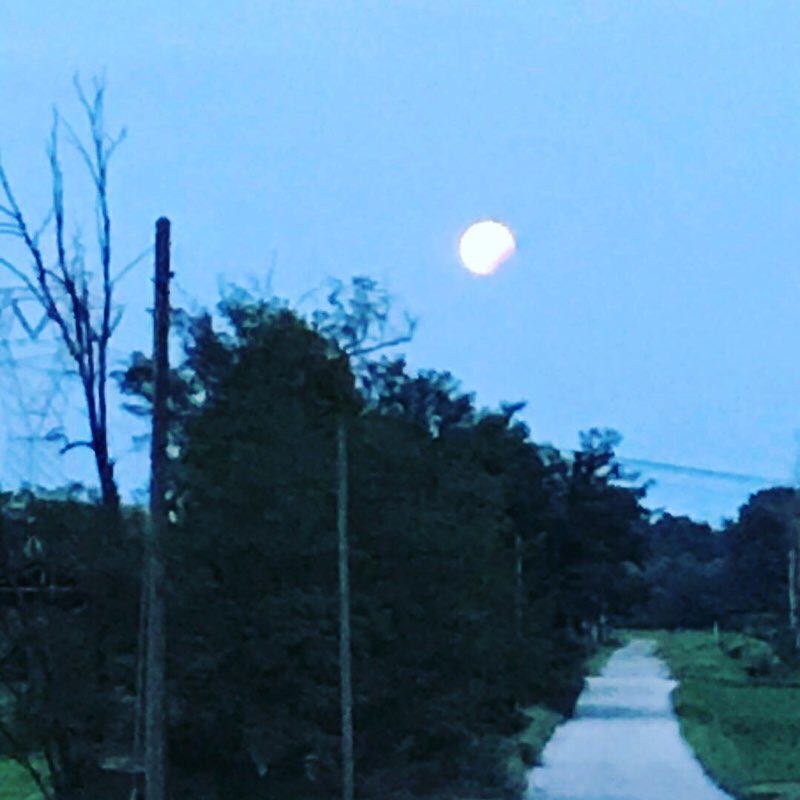 A lo largo de la muzza Sendero - Truccazzano, Milán, Italia | Pacer