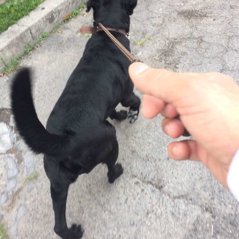 Atoyac river tour in Puebla | Walking Map