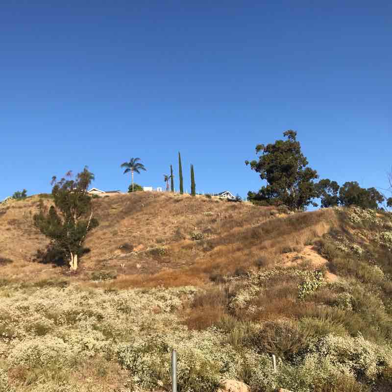 Valley view. Walk Trail - Redlands, California, USA | Pacer