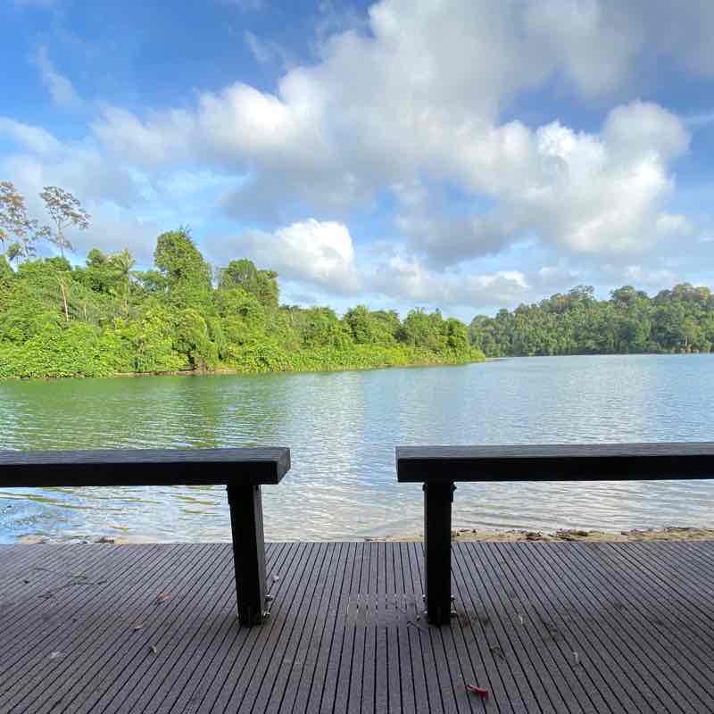MacRitchie Reservoir ( Lornie trail) | Walking Map