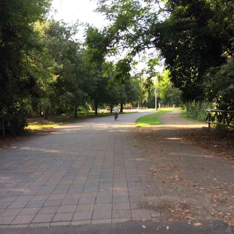 Park of the quarry baggio Walk - Milan, Province of Milan, Italy | Pacer
