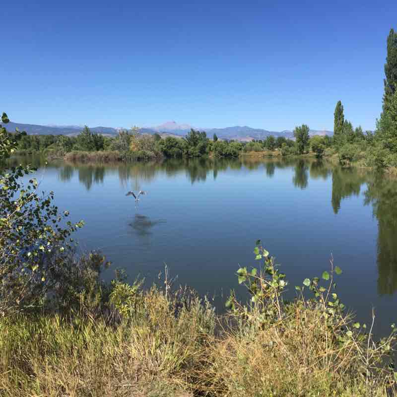 Golden Ponds loop in Colorado | Walking Map