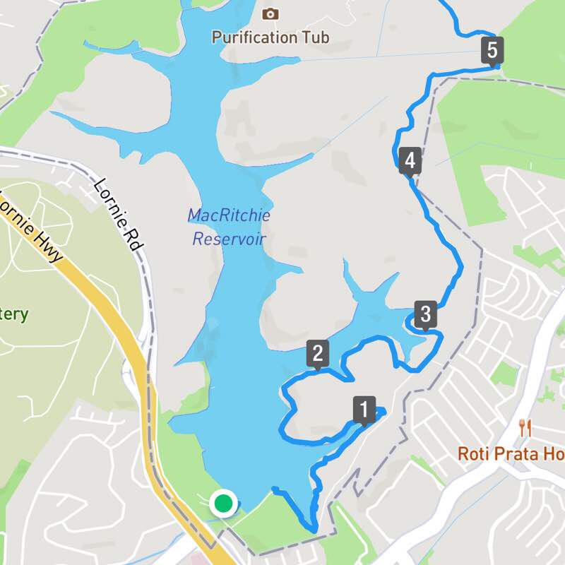MacRitchie Trail | Walking Map