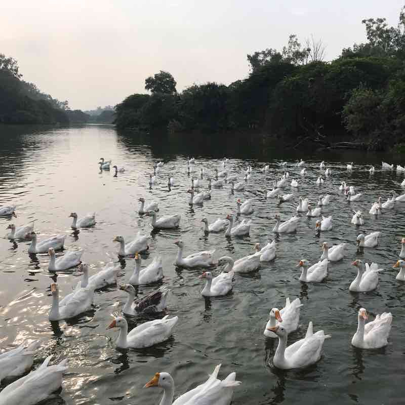 Sanjay Lake Park, Delhi Piste De Course - Mayur Vihar Phase 2, New ...