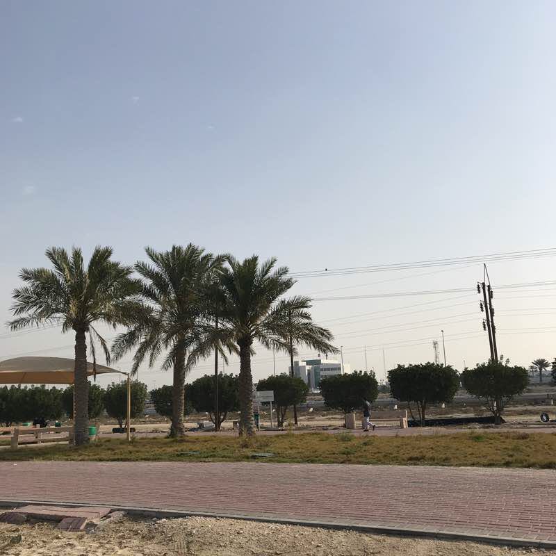 Aali Walk Trail - Central Region, Bahrain | Pacer