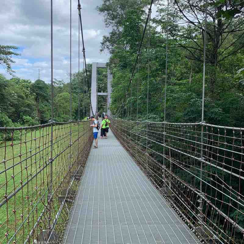 Taman Rimba Bukit Kerinchi Sendero - Kuala Lumpur, Malasia | Pacer