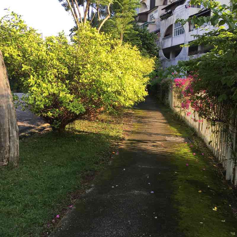Sri Hartamas Walk Trail - Kuala Lumpur, Malaysia | Pacer
