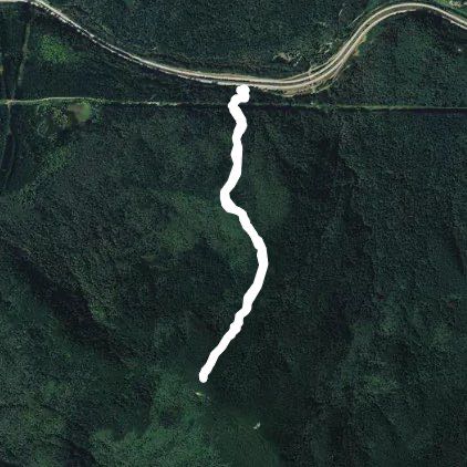 Cable Line Trail Hike - Issaquah, Washington, USA | Pacer