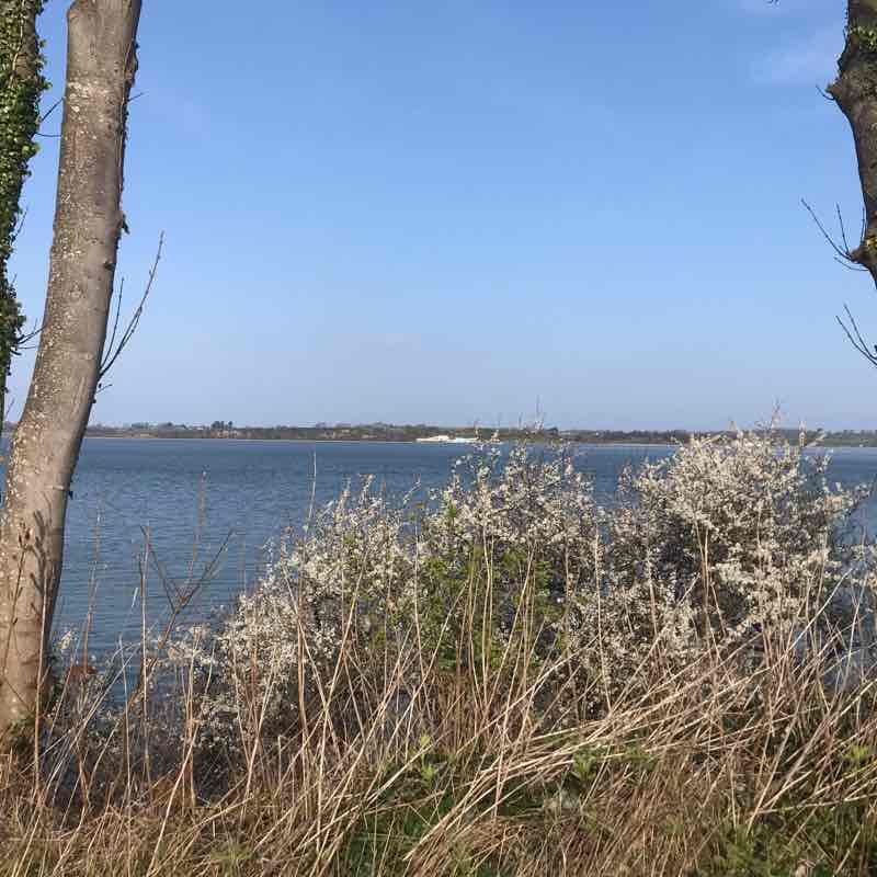 Lôn Eifion and Town walk | Walking Map
