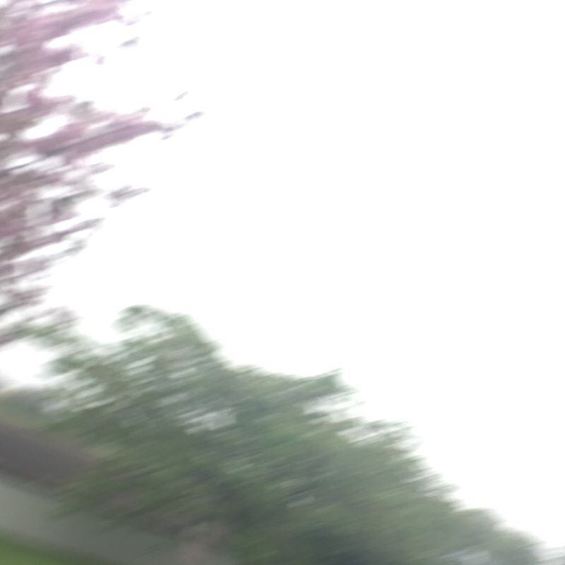 Lake Walk Trail - Crossboyne, County Mayo, Ireland | Pacer