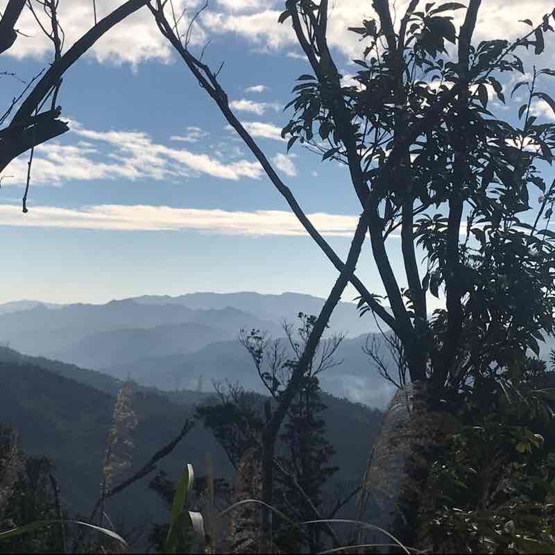 Pico nueve y cinco Sendero - District de Xinyi, Taipéi, Taiwán, China ...
