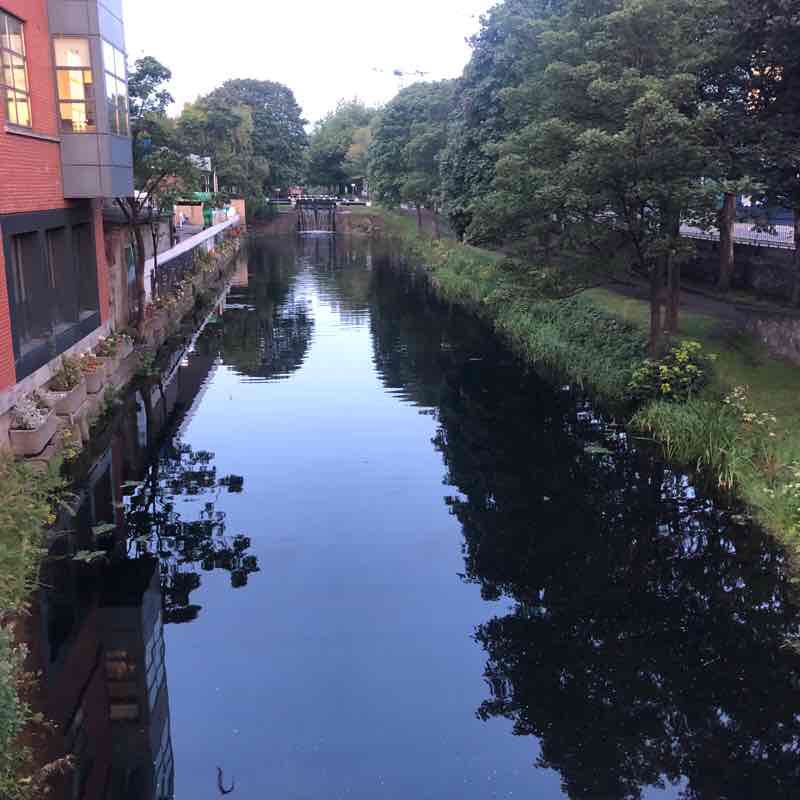 Around canal steps in Mespil Road, Dublin Walk - Ireland | Pacer