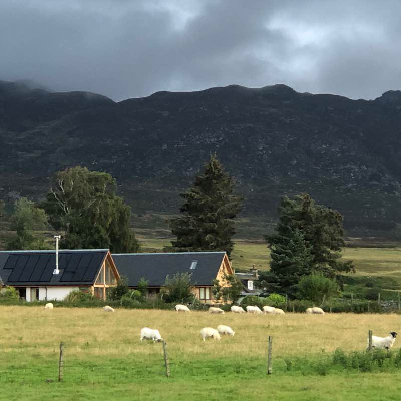 Newtonmore paths, Scotland Walk Trail | Pacer