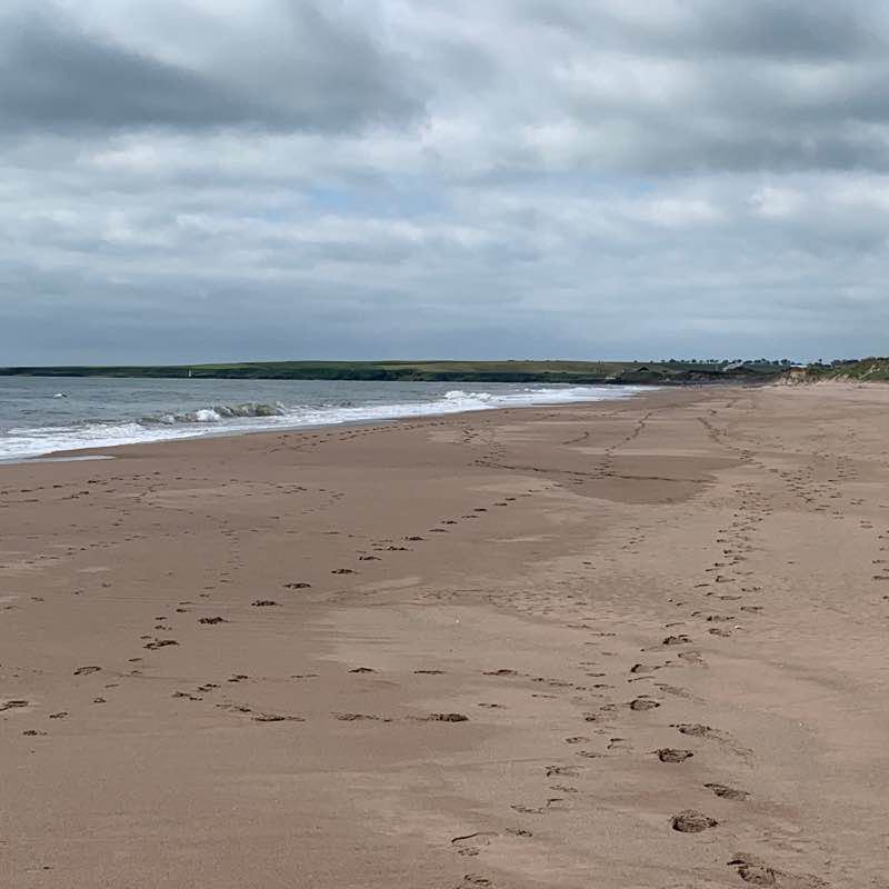 Montrose beach | Walking Map