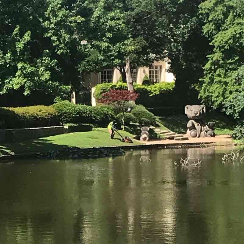 Teddy Bear Lakeside Park Walk - Dallas, Texas, USA | Pacer