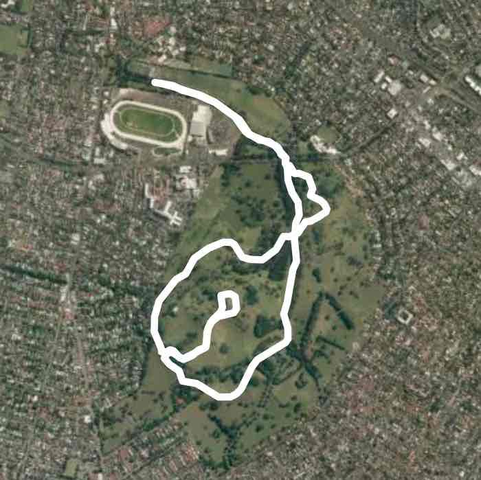 Cornwall Park Walk - Auckland, Auckland Region, New Zealand | Pacer