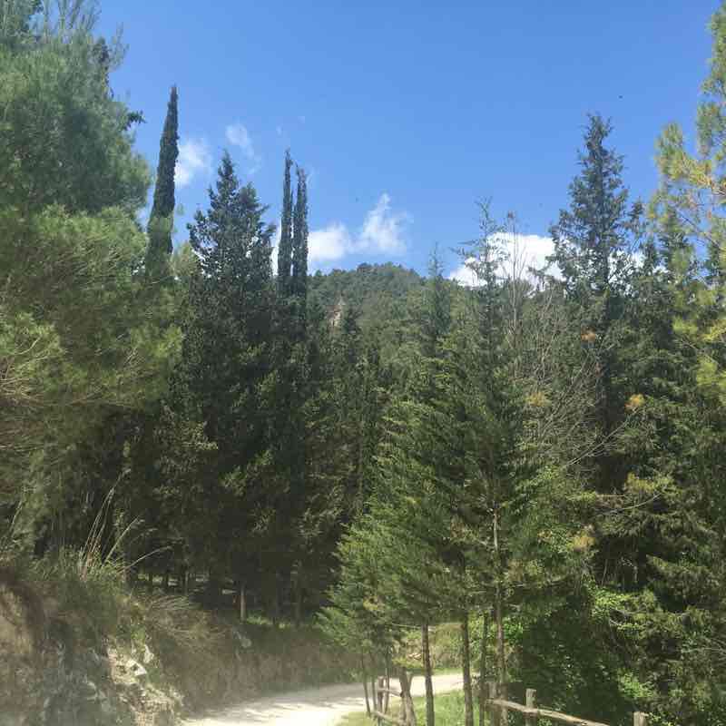 Along stream in the woods; Start: Lago Dirillo Hike Trail - Monterosso ...