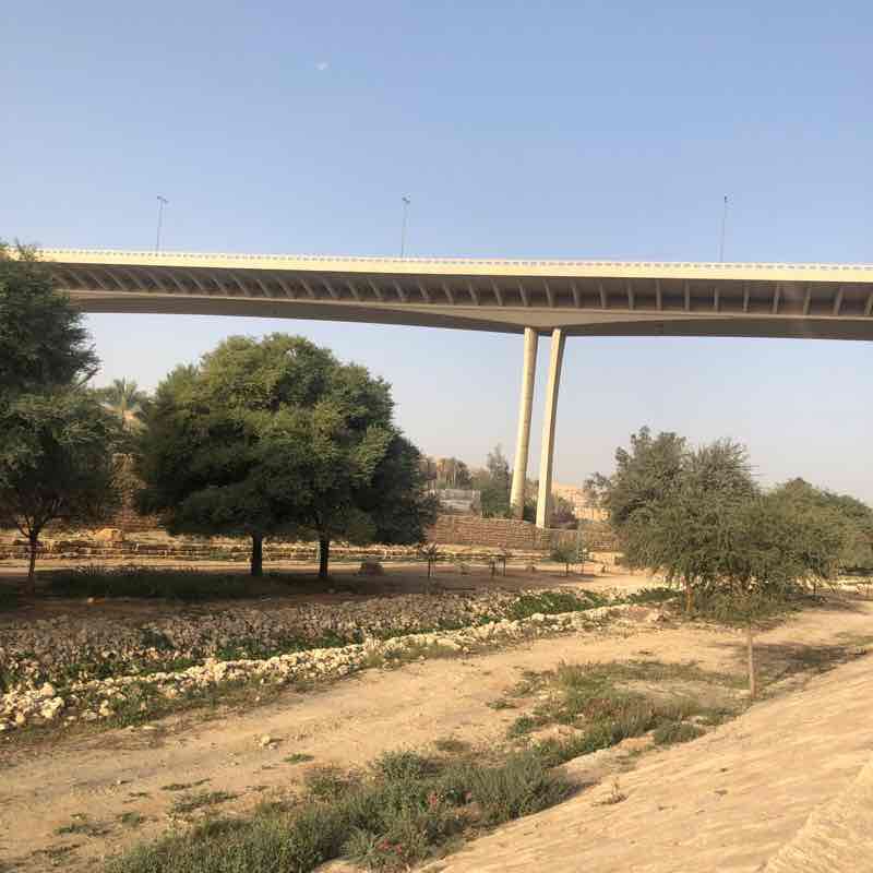 Running on Friday Trail - Riyadh, Saudi Arabia | Pacer