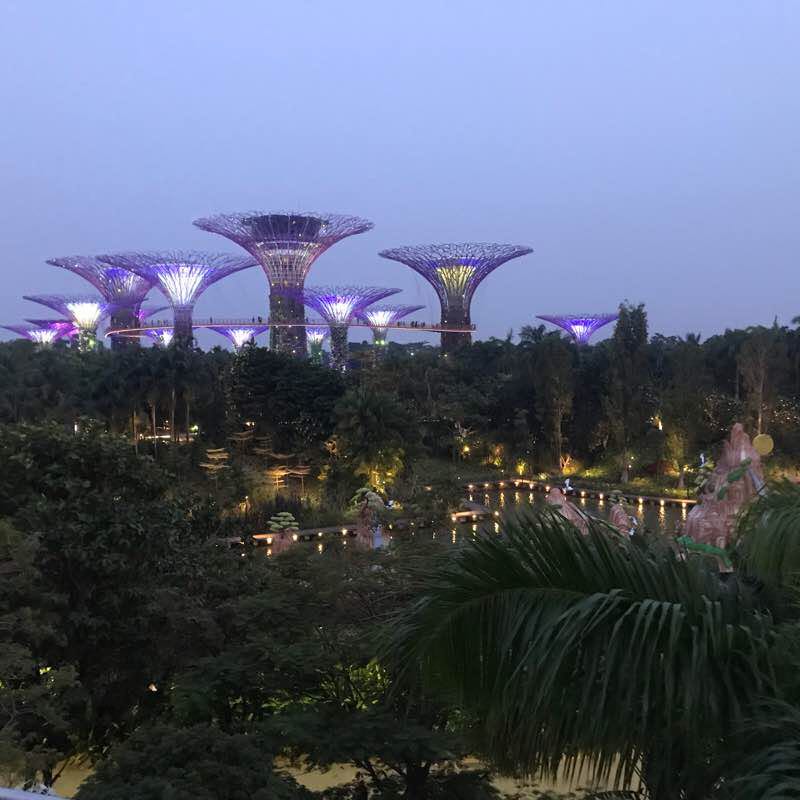 Singapore Bay Run | Walking Map