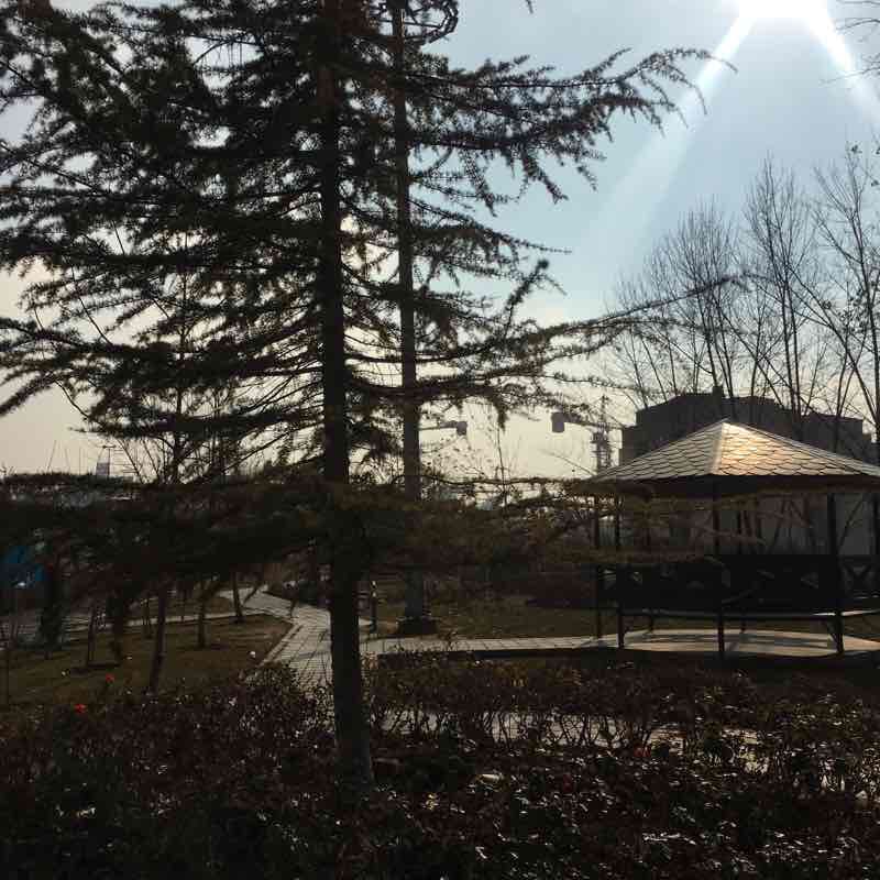 Hakim park Walk - Tehran, Tehran Province, Iran | Pacer