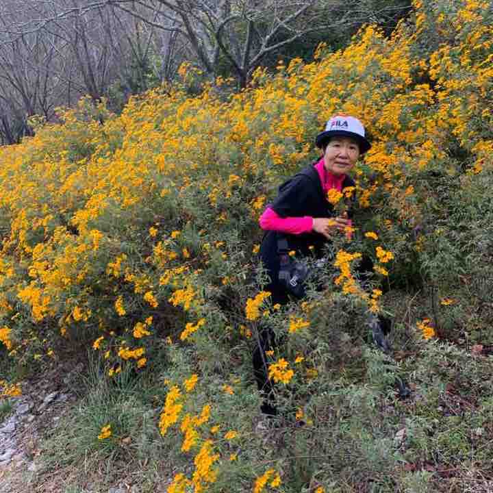 Wuling Farm Day Tour Walk Trail - Heping District, Taichung, Taiwan ...