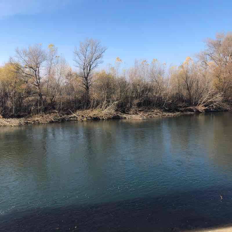 Embankment near the Kuban River Walk Trail - Nevinnomyssk, Stavropol ...