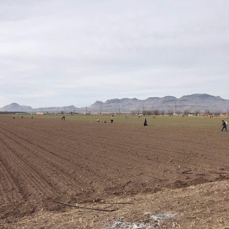 Río san Pedro, Meoqui Sendero - Chihuahua, México | Pacer