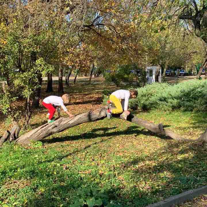 Parque Floreasca in București | Walking Map