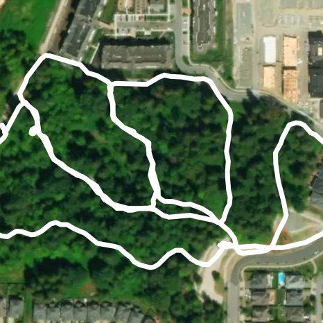 Bose Forest Park Walk - Surrey, British Columbia, Canada | Pacer