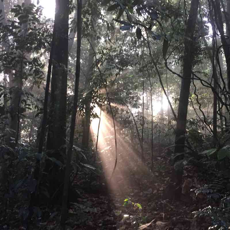 The Three Princess Trail, 10 City of Damansara City in Selangor ...