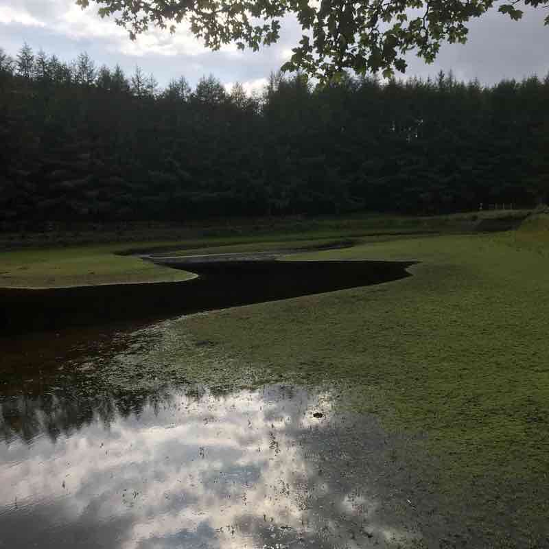 Entwistle Green | Walking Map