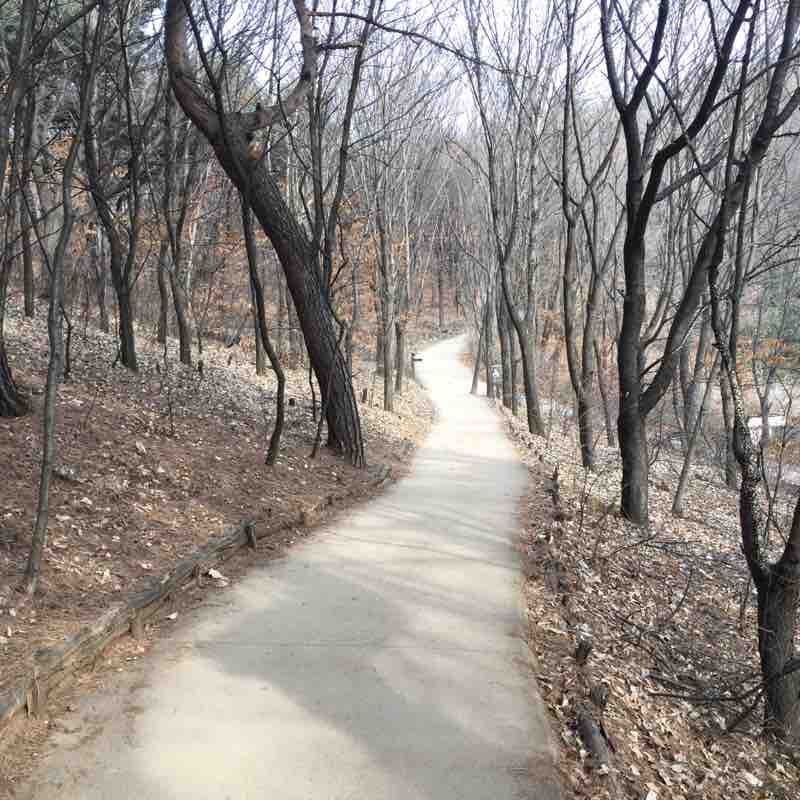 Arching Walk Trail - Seodaemun-gu, Seoul, South Korea | Pacer