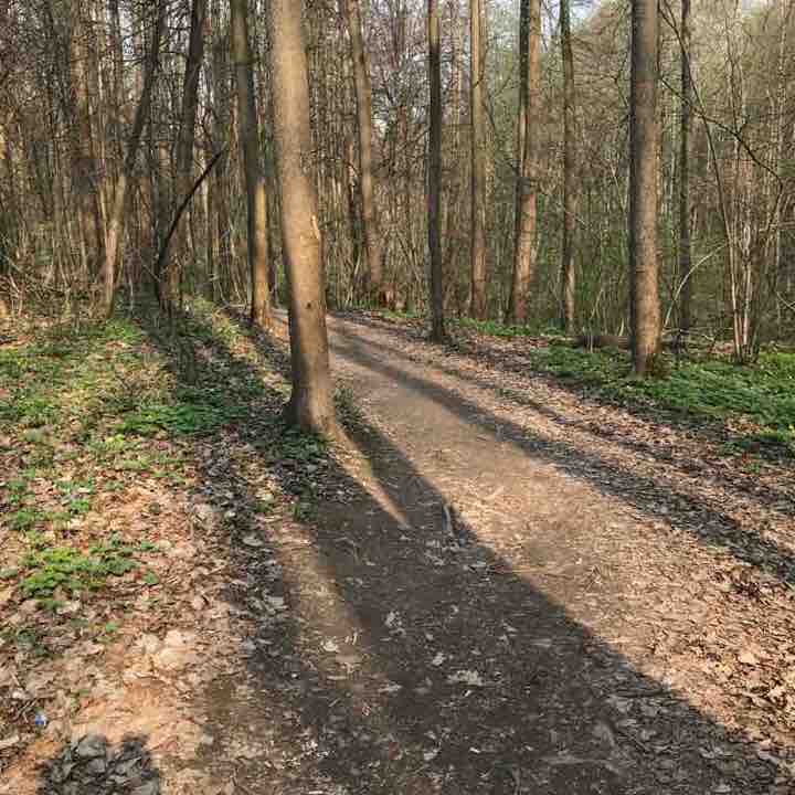 Bitsevsky park Walk - Moscow, Russia | Pacer