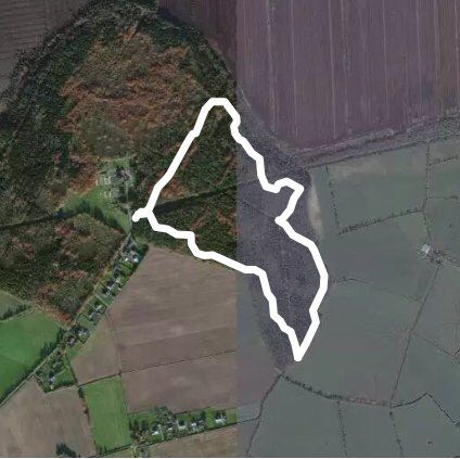 Woods Walk Trail - Killinthomas, County Kildare, Ireland | Pacer