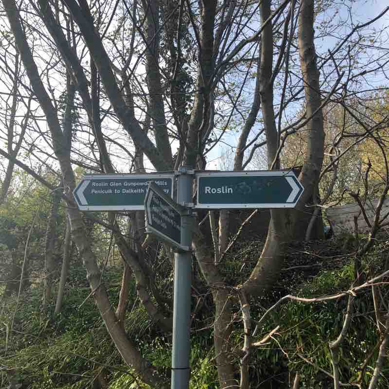 A revered trouping of the Rosslyn Chapel grounds Walk Trail - Roslin ...