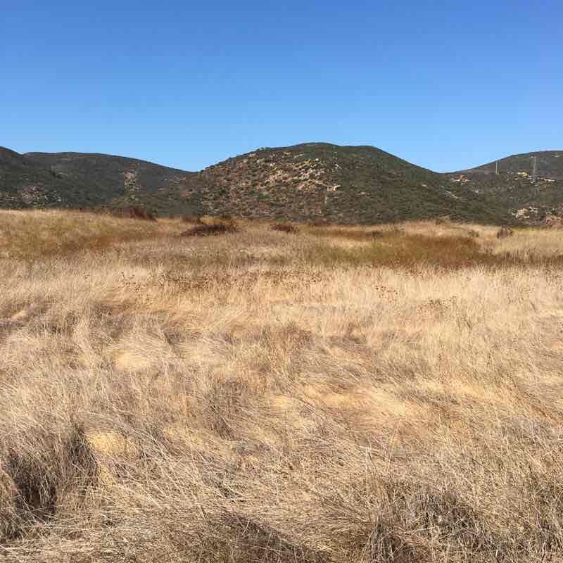 Grasslands Loop Trail in California | Walking Map