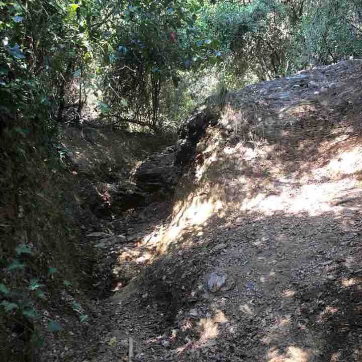 Serra de Collserola Barcelona 7km Walk Trail - Vallvidrera, Spain | Pacer