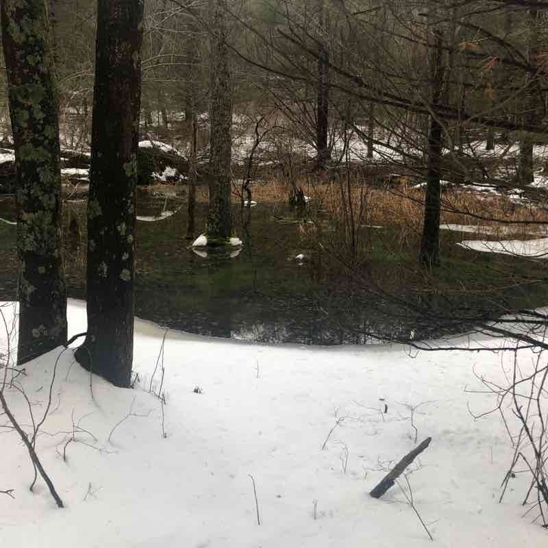 AT; Hosack Run; Locust Gap Loop Trail | Walking Map