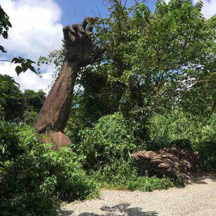 Snow Mountain Pit Forest Road, Giant's Hand Walk - Heping District ...