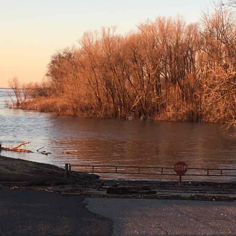 Harbor Town: Wolf River to A Willis in Tennessee | Walking Map