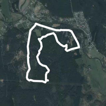 The Green and Blue marked trail Walk - Nethy Bridge, Scotland | Pacer