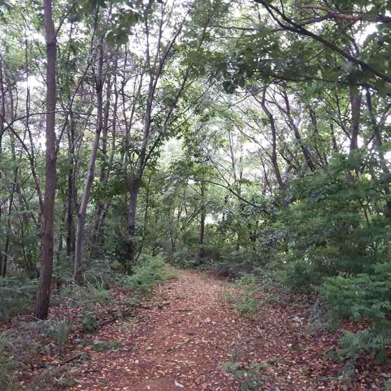 Songtan Buraksa Walk Trail - Pyeongtaek-si, Gyeonggi-do, South Korea ...