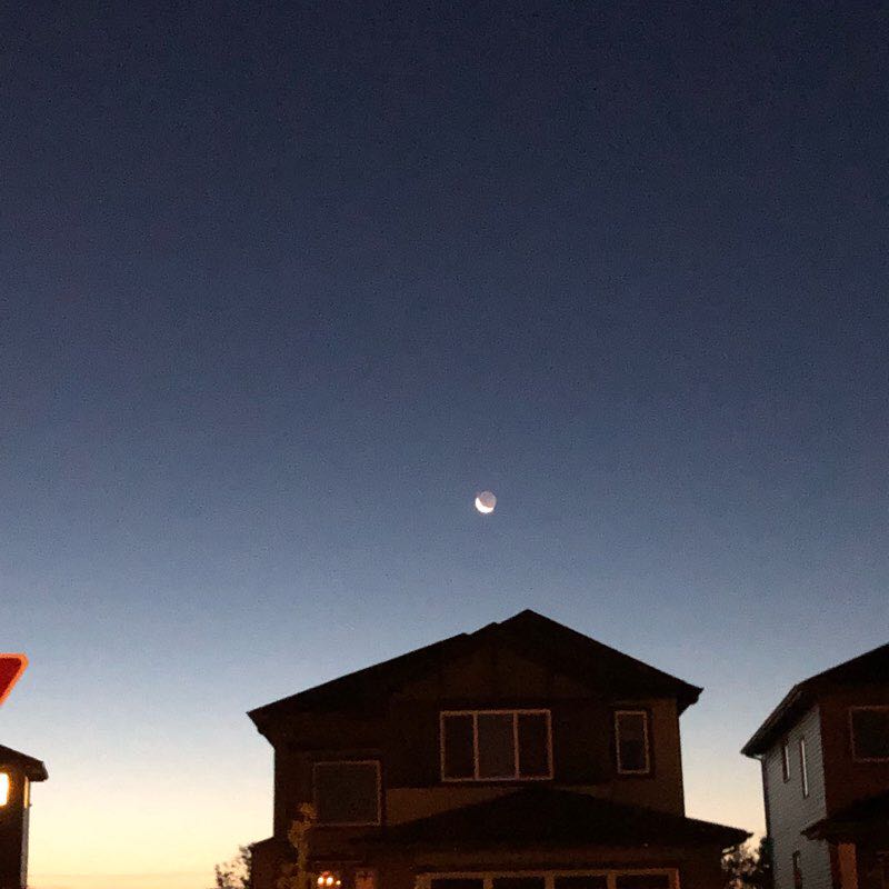 Millwoods Walk Trail - Edmonton, Alberta, Canada | Pacer