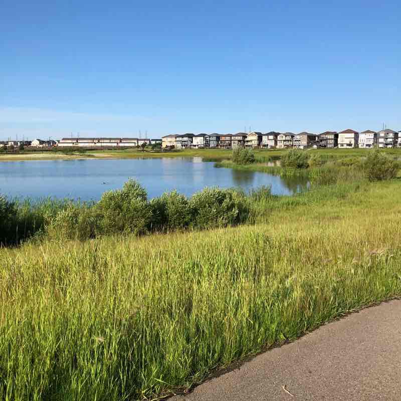 Tamarack Sendero - Edmonton, Alberta, Canadá | Pacer