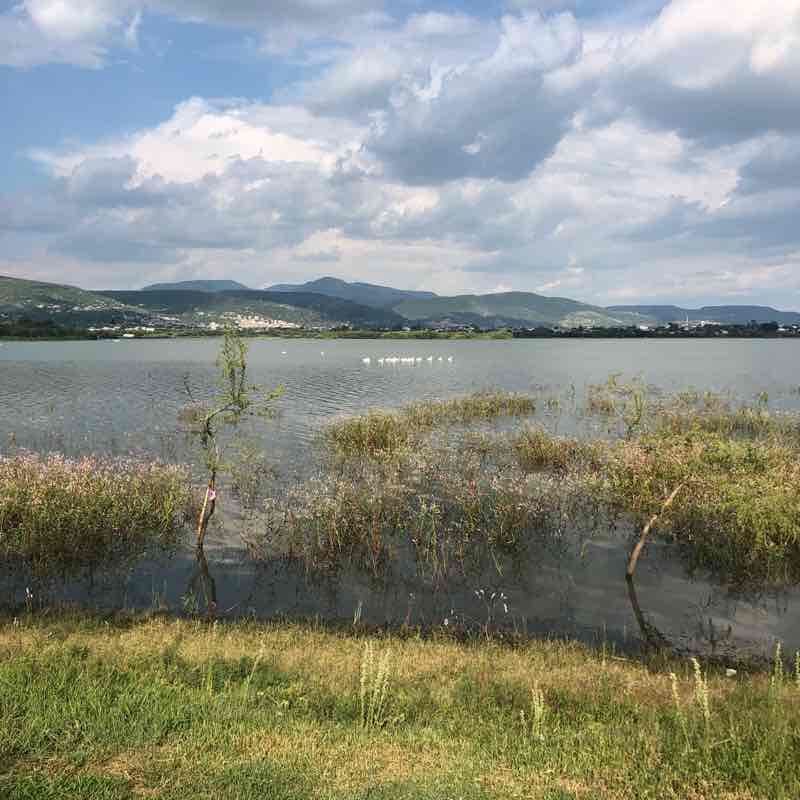 Parque metropolitano in Guanajuato | Walking Map