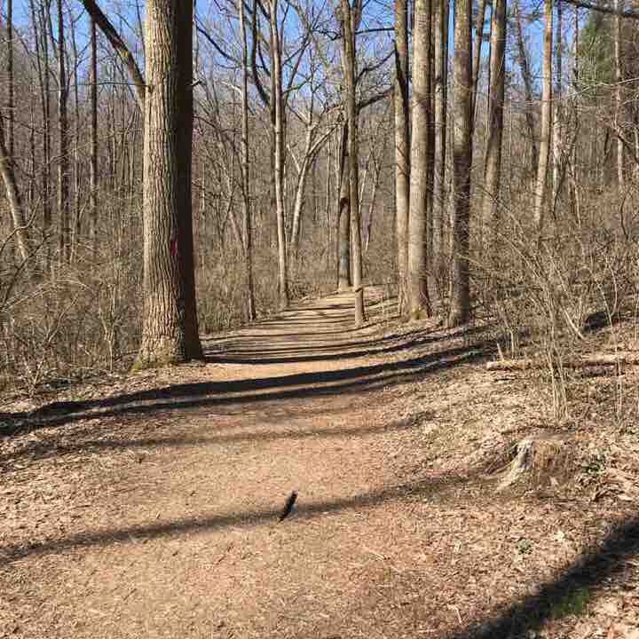 Angora Road Trailhead Walk - Reading, Pennsylvania, USA | Pacer